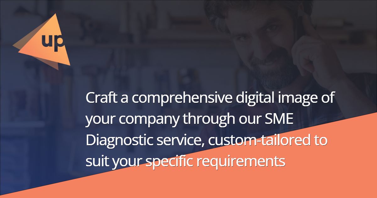 SME Diagnosis: First step in digital transformation